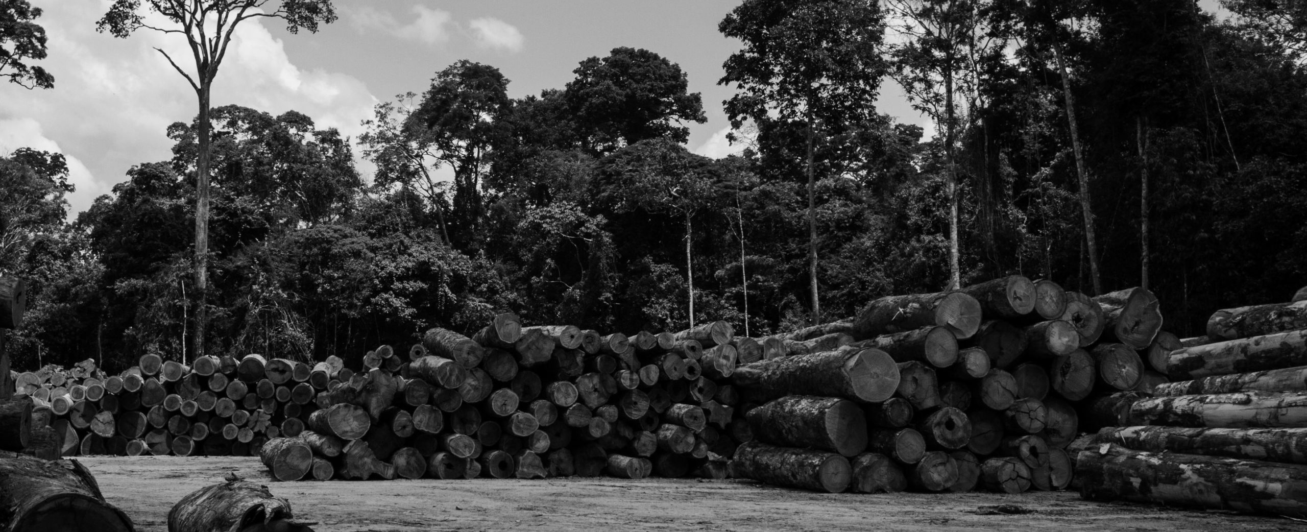 Resource security in a net zero world » Green Alliance