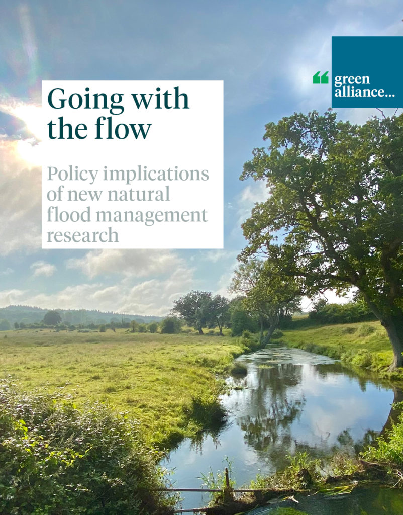 Going with the flow: policy implications of new natural flood ...