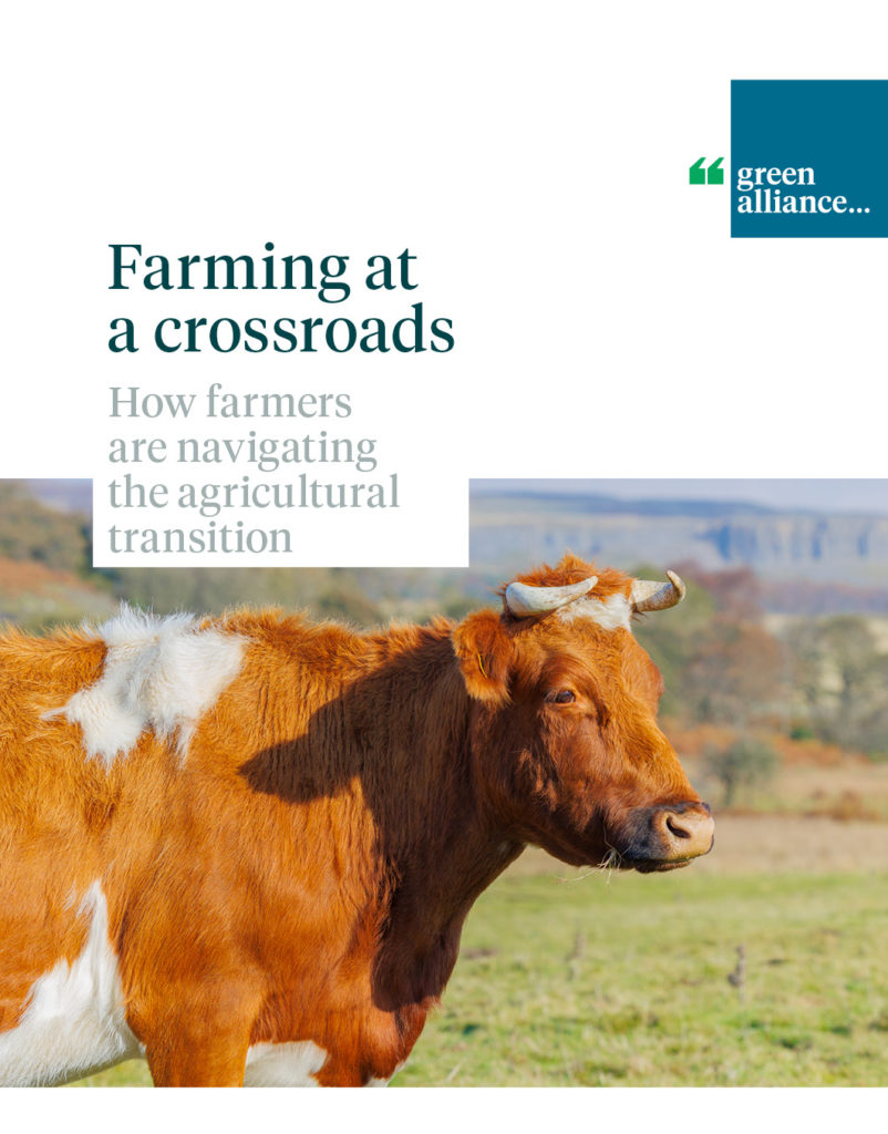 Farming at a crossroads: how farmers are navigating the agricultural ...