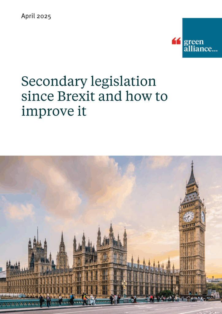 Secondary legislation since Brexit and how to improve it » Green Alliance