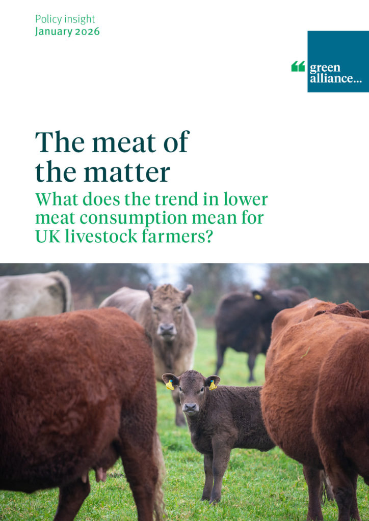 The meat of the matter: what does the trend in lower meat consumption ...